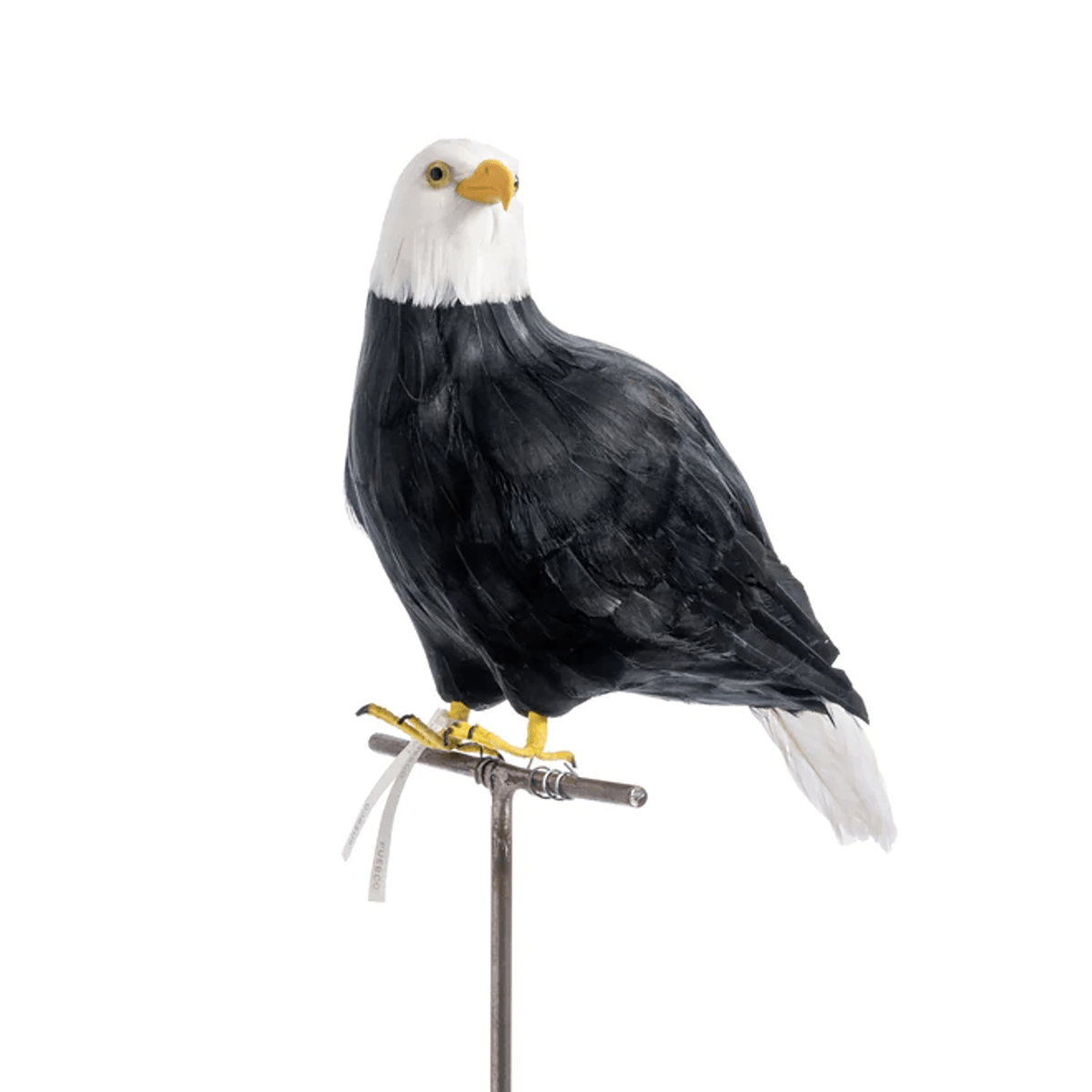 ARTIFICIAL BIRDS: BALD EAGLE – Bodega